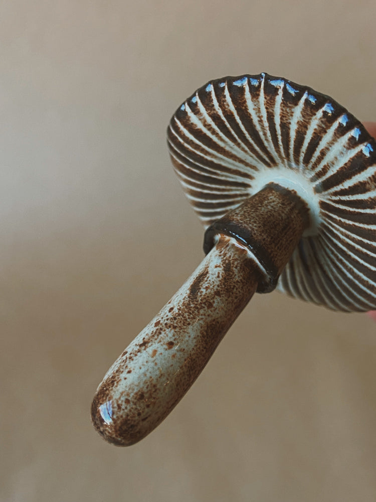 Gallery – Waverly Long Studios