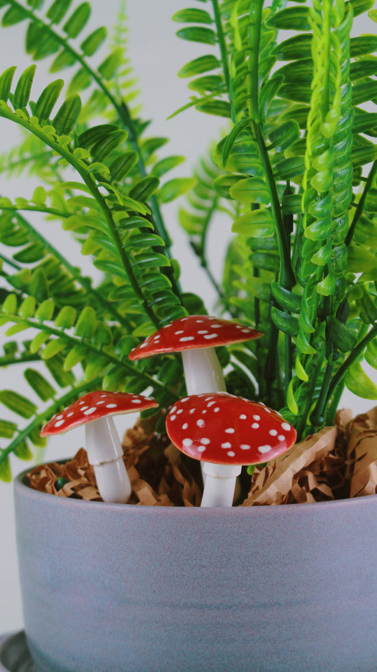 Gallery – Waverly Long Studios