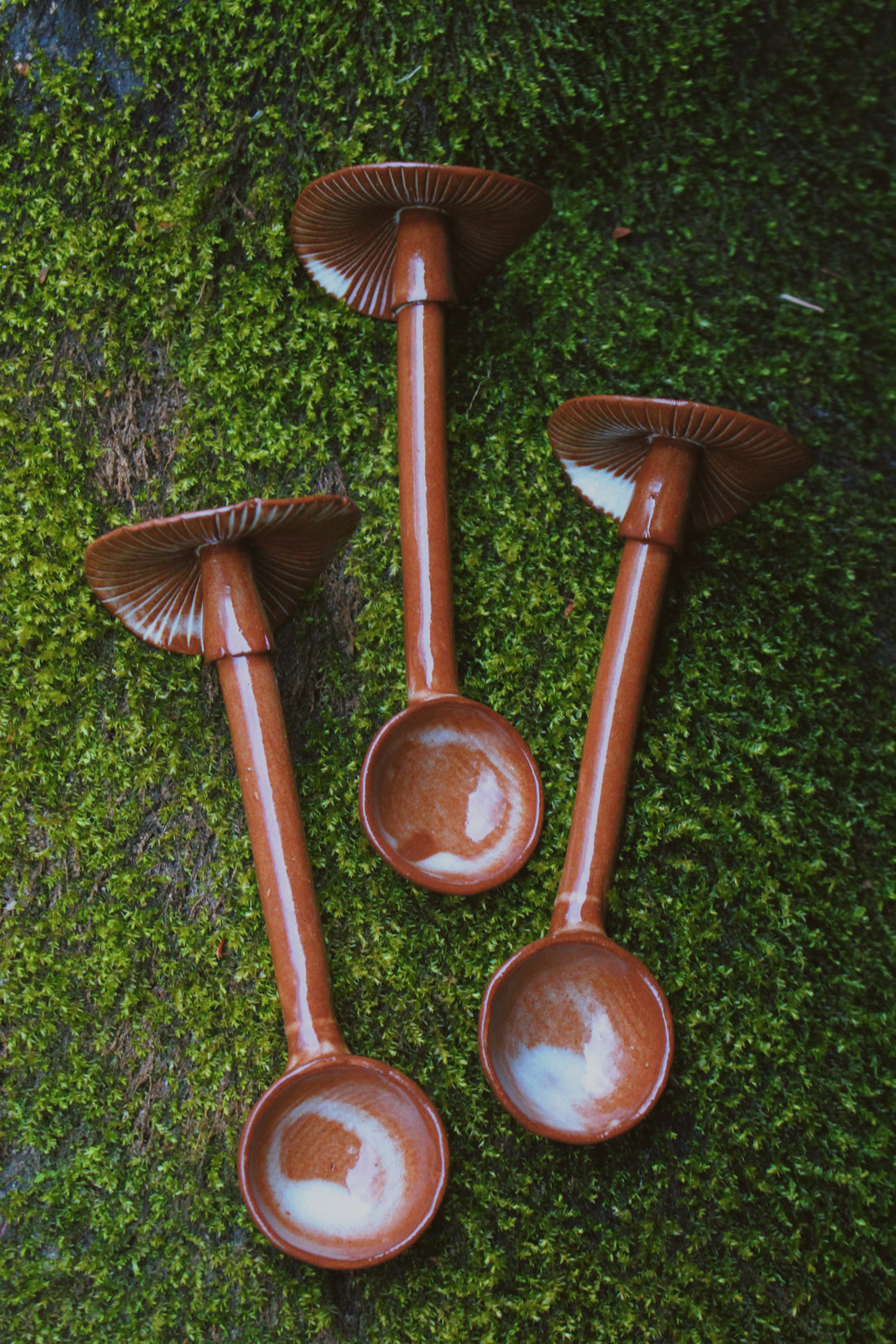 Gallery – Waverly Long Studios